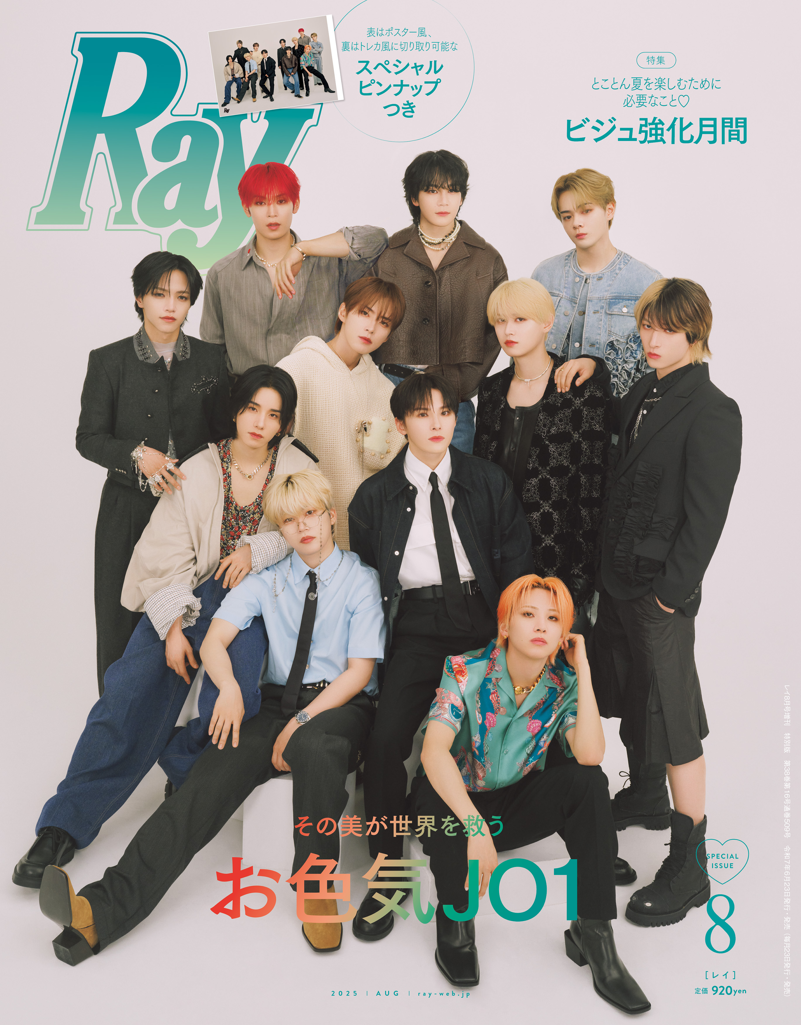 Ray - 株式会社 主婦の友社 主婦の友社の本